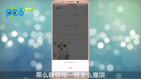 微信拍一拍怎么撤回