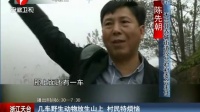 浙江天台:几车野生动物放生山山 村民特烦恼 超级新闻场 151119