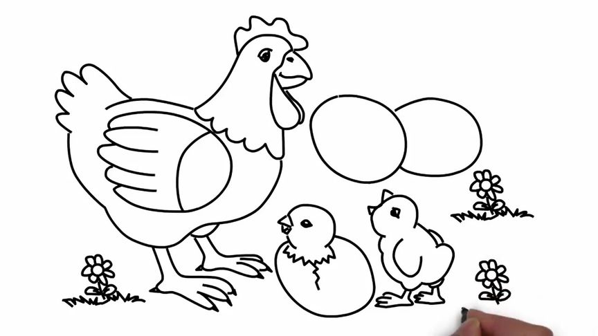益智绘画早教,画母鸡阿姨孵出小鸡宝宝涂上漂亮颜色