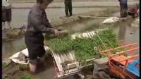 水稻全程机械化生产技术