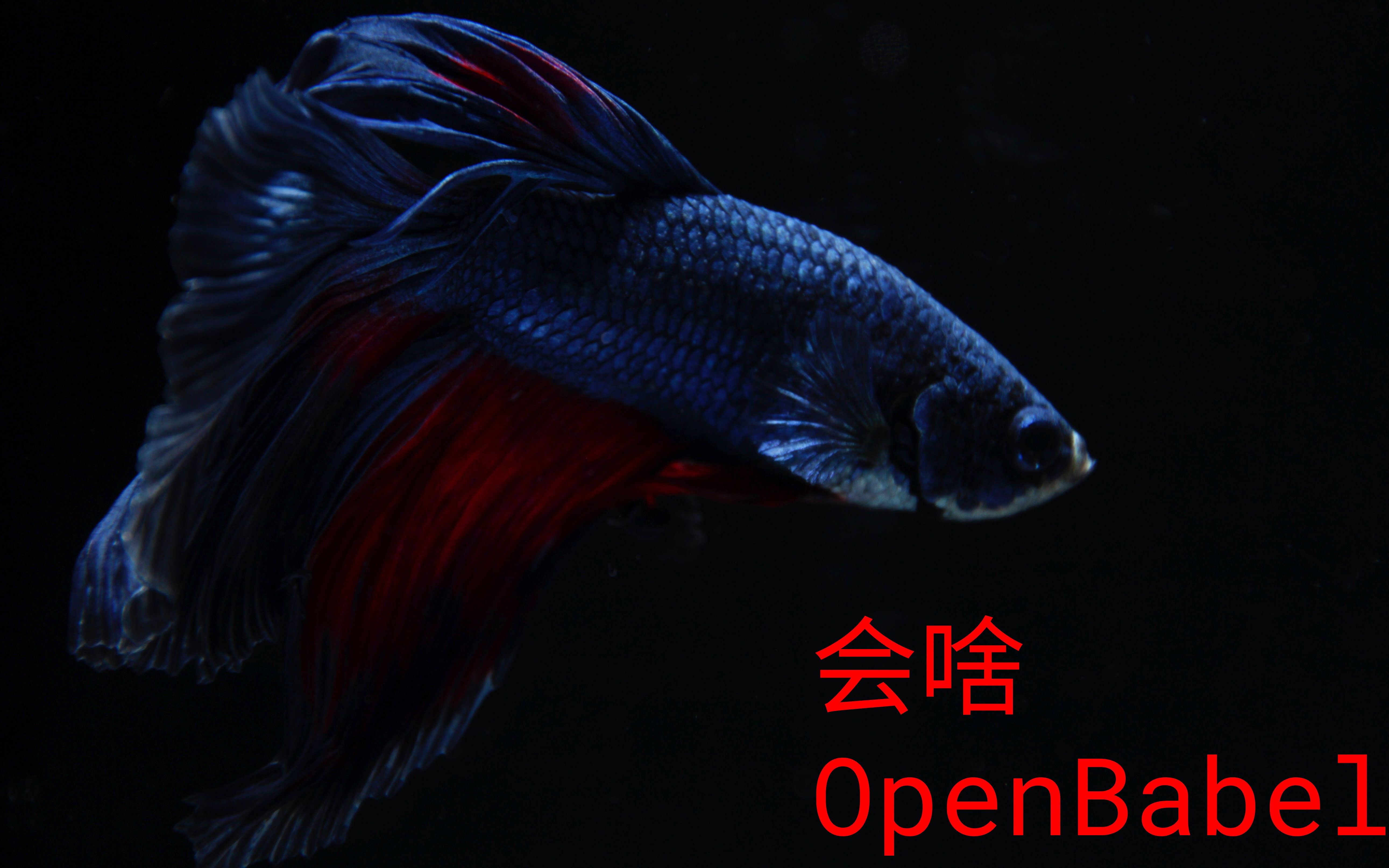会啥_openbabel_1_安装openbabel