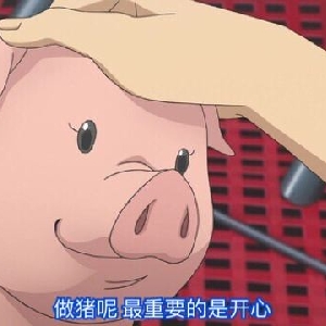 爱做梦的路人已 