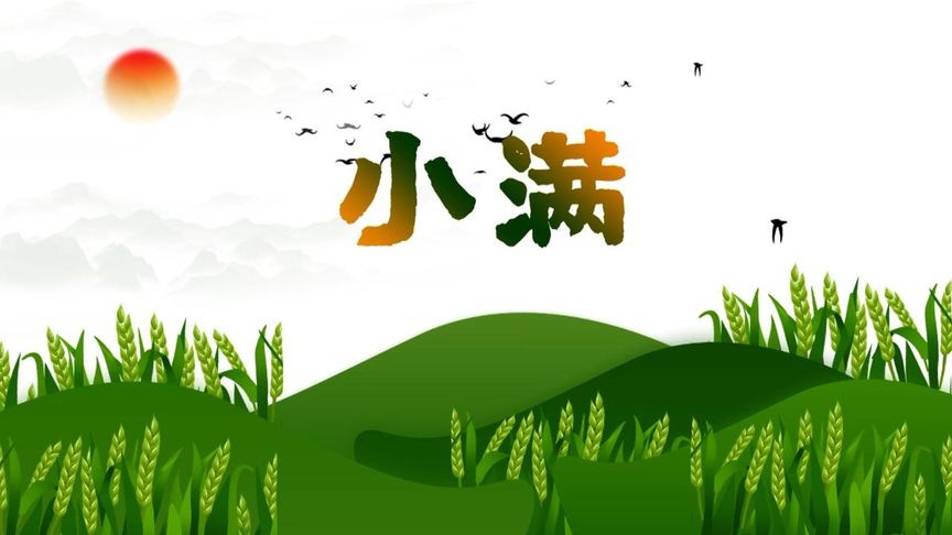 科普动起来丨小满小满,“满”的意思你知道吗?