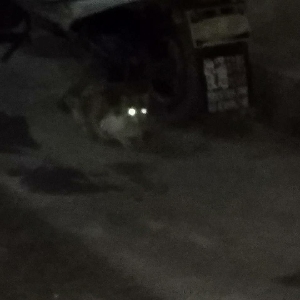 独一无二海亮在此 