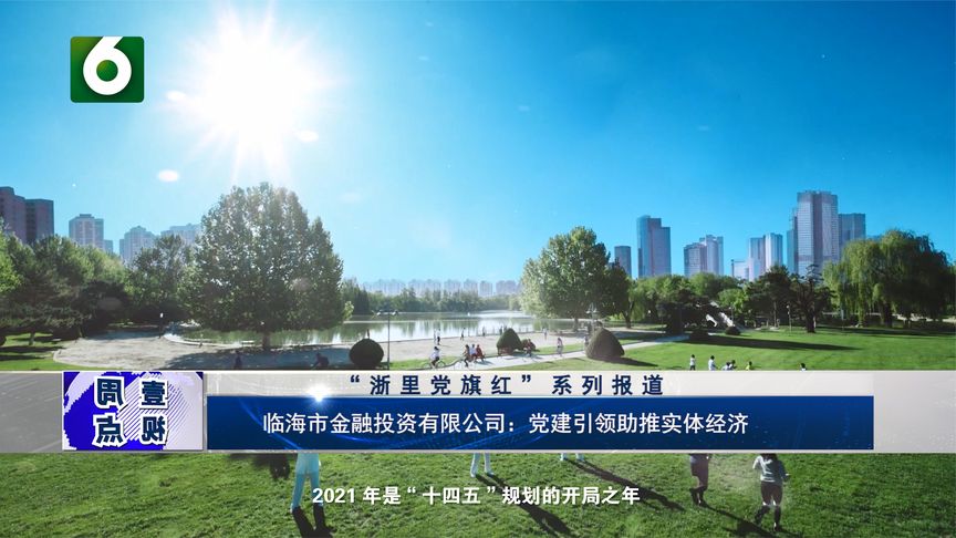 临海市金融投资有限公司:党建引领助推实体经济
