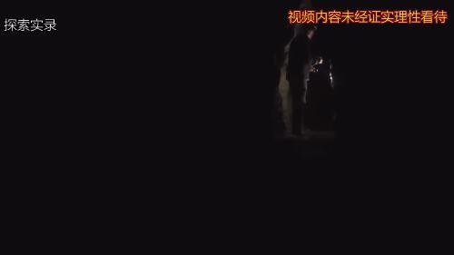 森林中,存在着一些神秘未知的生物,你都认识那些