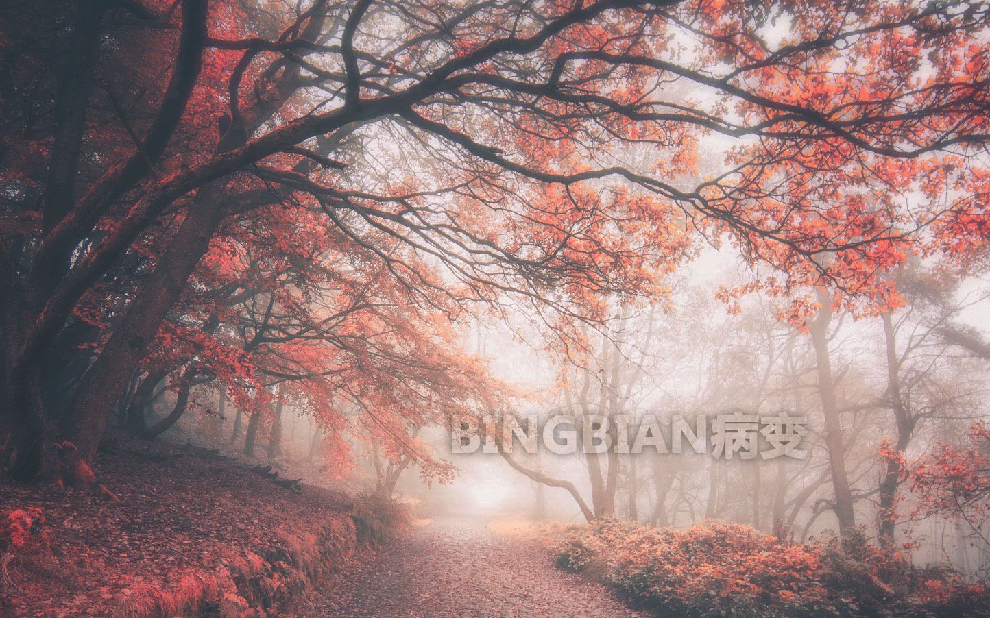 【BINGBIAN病变】(晓慕制作)钢琴曲Cubase版本