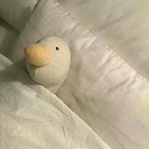 赤暴凶星 