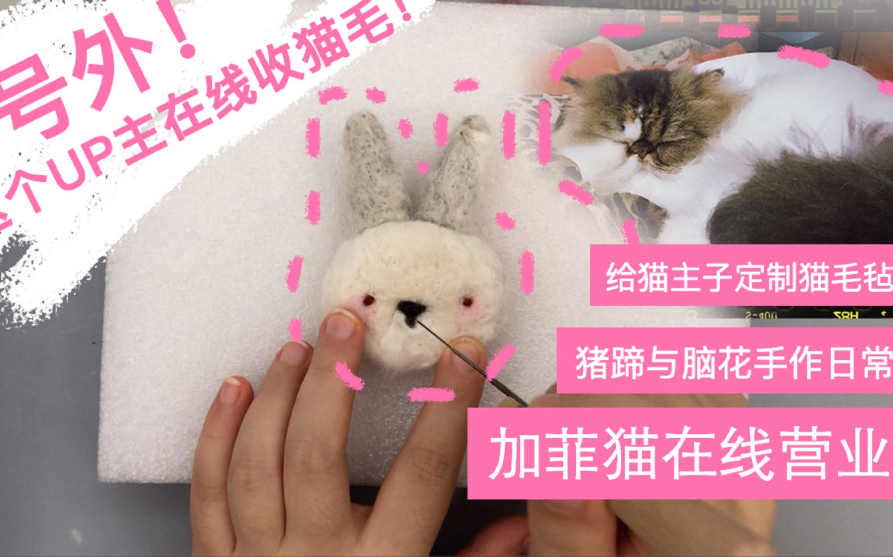 【猫毛毡】猫毛太多怎么办?