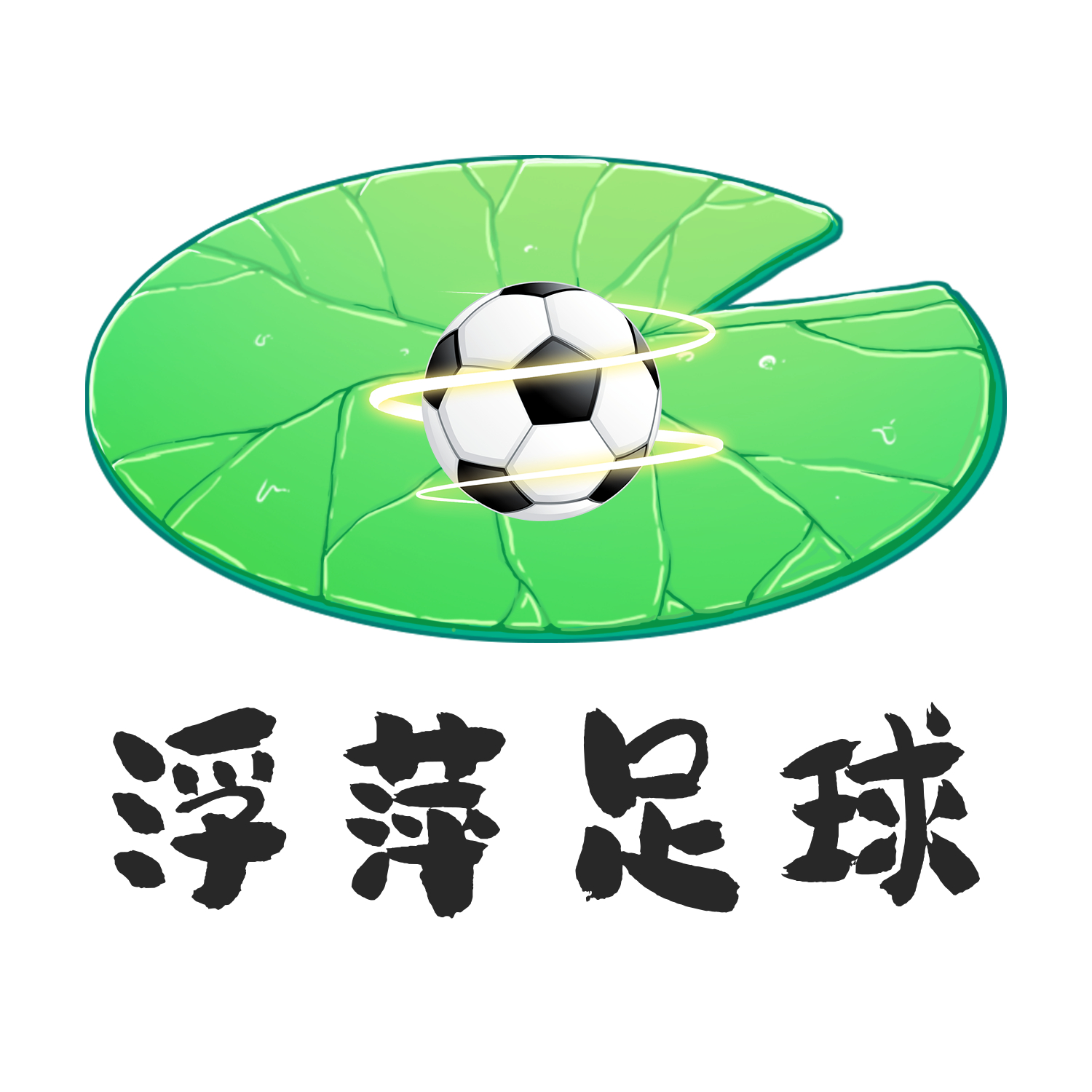浮萍足球 
