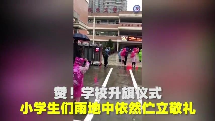 学校升旗仪式,小学生雨中伫立敬礼!