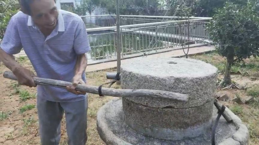 现代人最需要什么的生活?这个可以有!