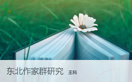 【中国语言文学】【文艺学】渤海大学 东北作家群研究 主讲-王科【全...