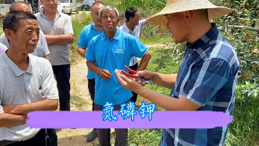 复合肥要不要用?看一下16种元素占果树总营养的比例你再做决定!