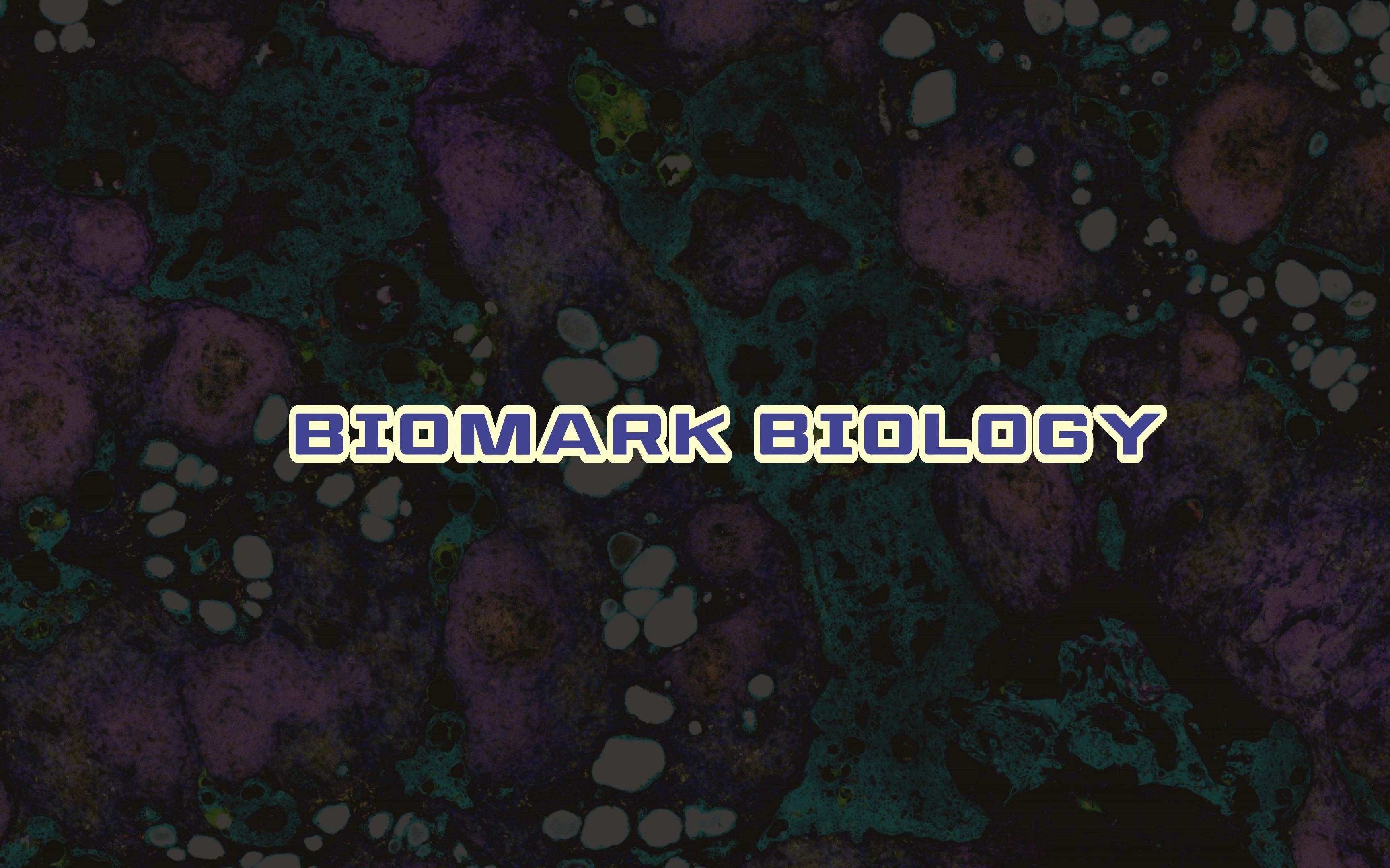 多重免疫荧光染色成像及原位表型分析服务