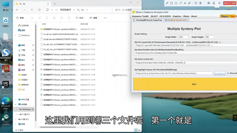 用tbtools做两个物种之间的共线性分析