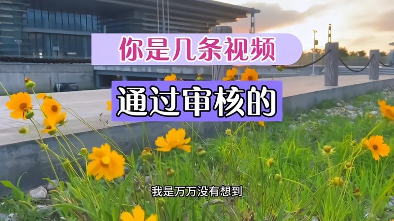 你是几条视频通过17000审核的