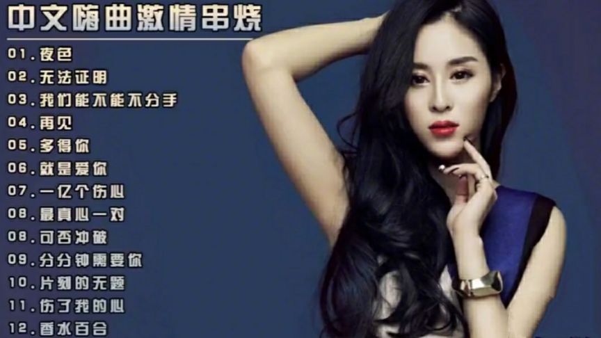 12首中文嗨曲《夜色》激情串烧!DJ摇起来,嗨嗨嗨。