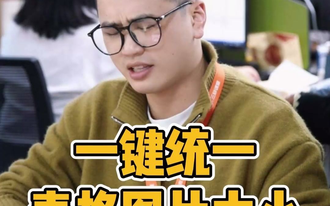 一键统一表格图片大小