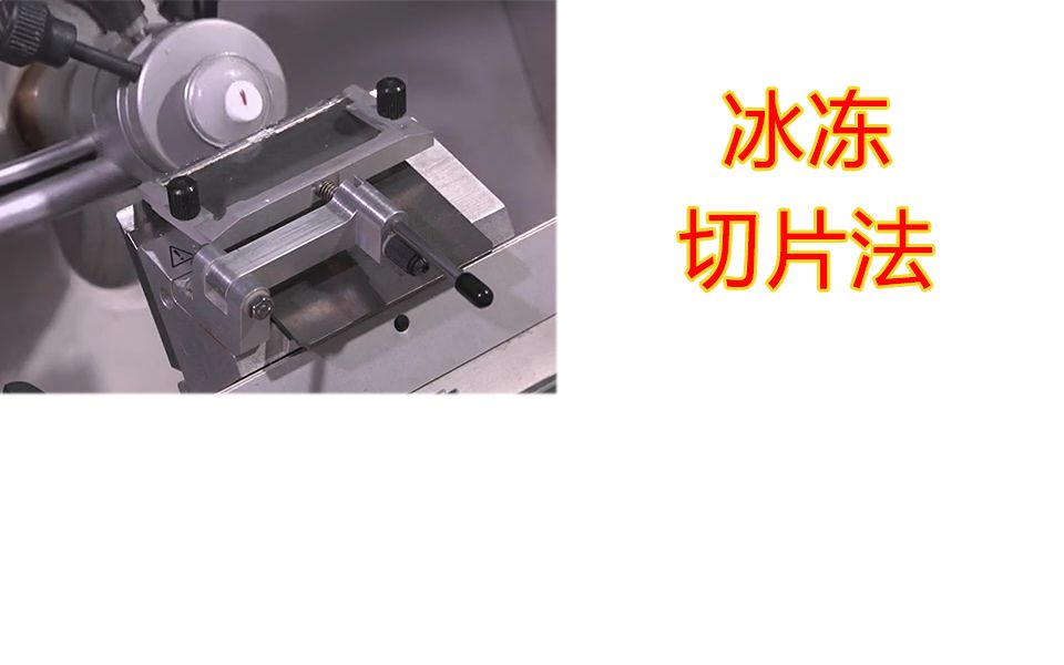 【实验】冰冻切片法制备标本,冰冻切片机的使用方法