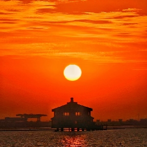 漠北飞鹰2008 