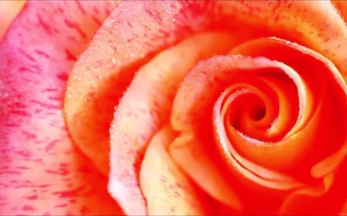 70 80 90传奇 - 金色欧洲迪斯科舞曲