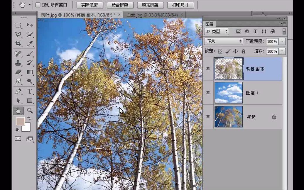 ps树木树叶抠图视频:primatte插件应用抠选单色背景