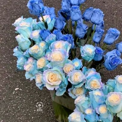 黄金法则m 