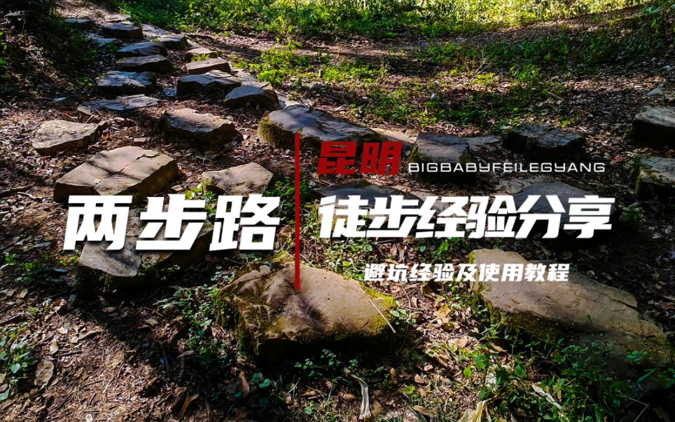 废腿|两步路使用避坑经验分享|非常重要