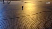 电动独轮平衡车 电动思维车 独轮代步车
