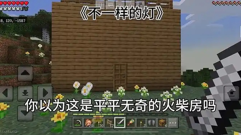 我的世界:不一样的灯