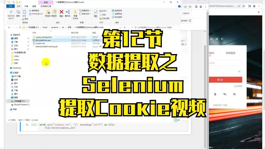 Python零基础入门教程_12_数据提取之Selenium提取Cookie视频