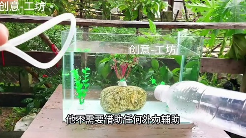 手制不用电的塑料瓶打氧机,为鱼缸提供稳定氧气供应