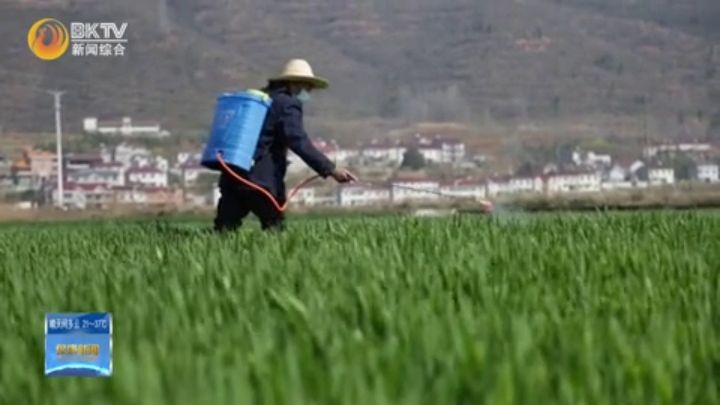 保康:高标准农田项目建设,惠及山乡群众