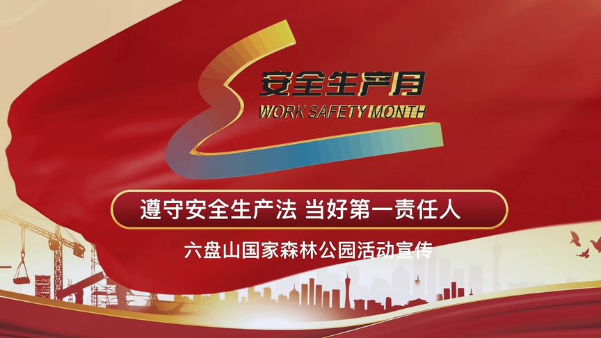 遵守安全生产法律,当好第一责任人#安全生产月