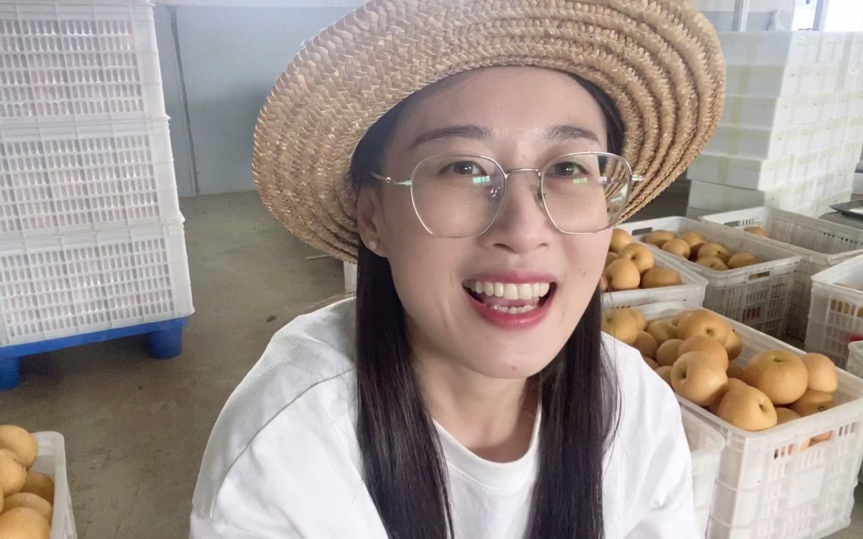 教你丰水梨和秋月梨的区别,海阳小璐让你少踩坑