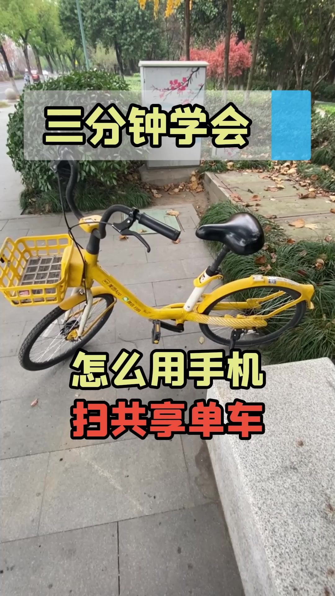 【三分钟学会】怎么用手机扫共享单车? #教老年人用手机 #手机使用...