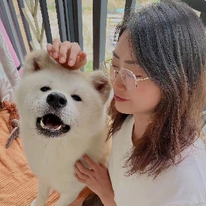 成都工商财税佳佳 