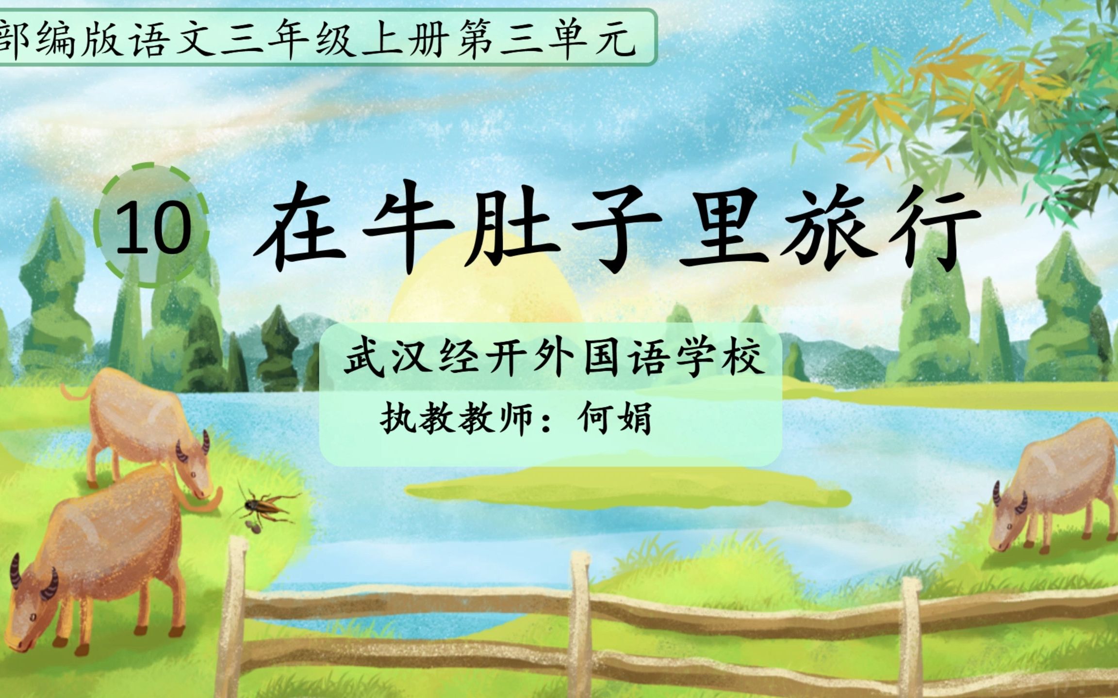 三年级上册《在牛肚子里的旅行》经外 何娟