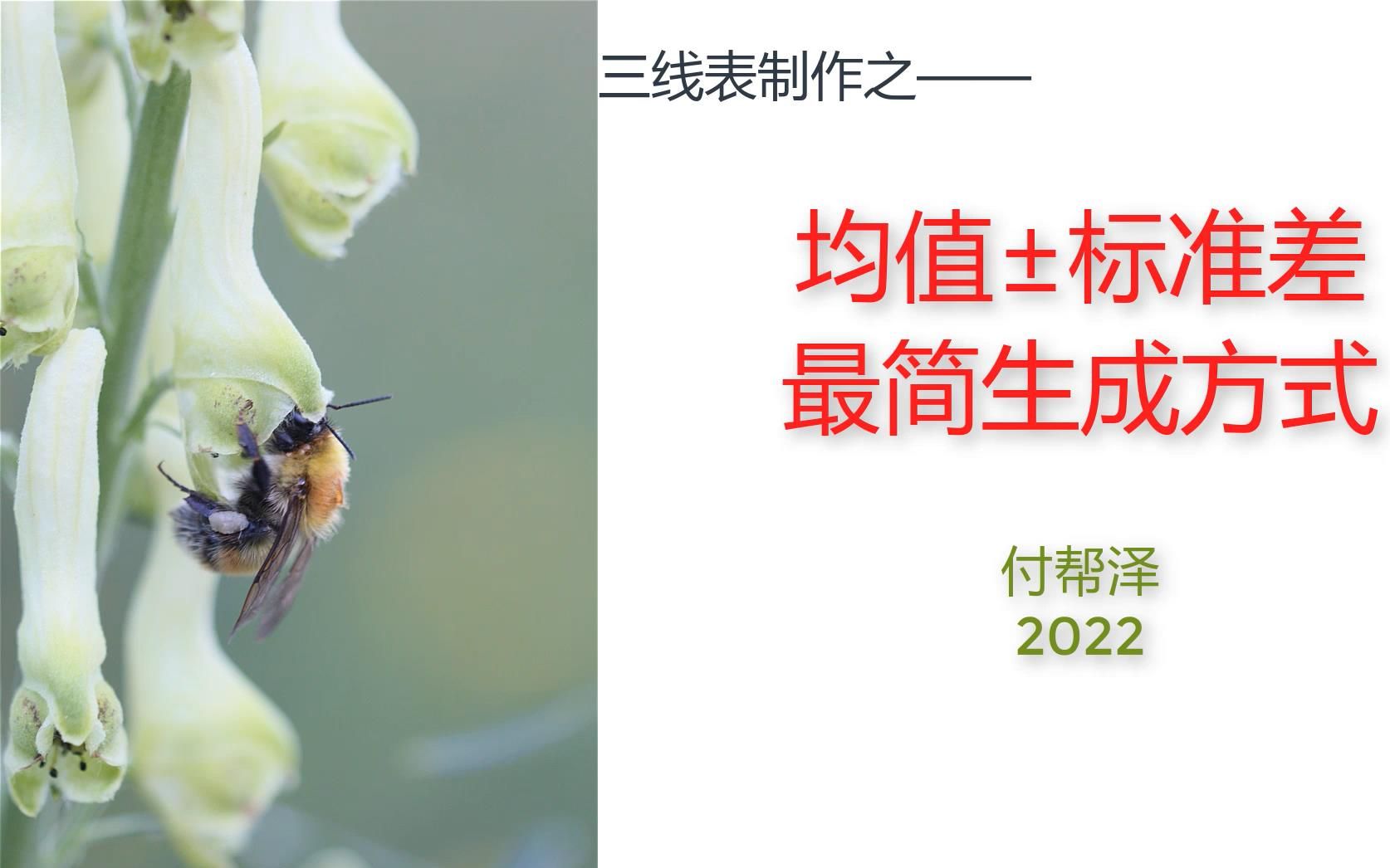 三线表,均值±标准差的最简生成方式