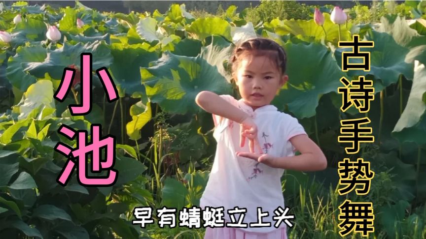幼儿古诗手势舞《小池》顶着三十多度的太阳去找荷花,看到蜻蜓吗