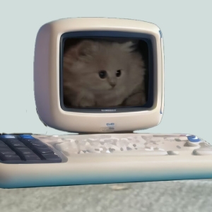 二狗不是废狗 