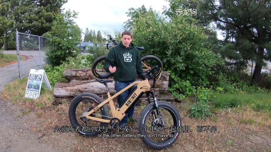 218——我想要个双电池的电助力车
