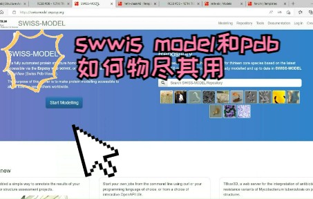 【Swwis model和pdb数据库的使用指南】