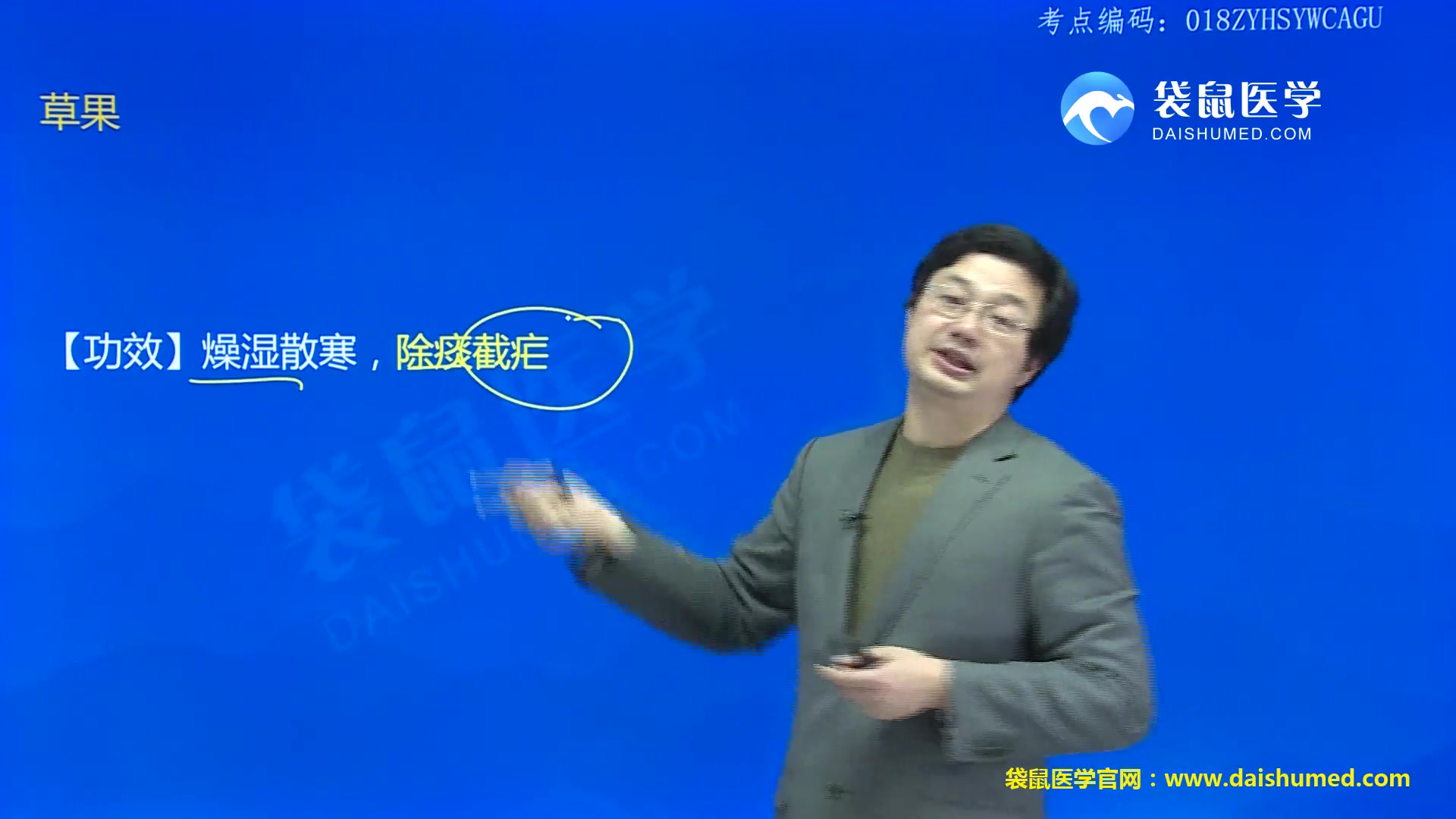 每天认识一味药——草果
