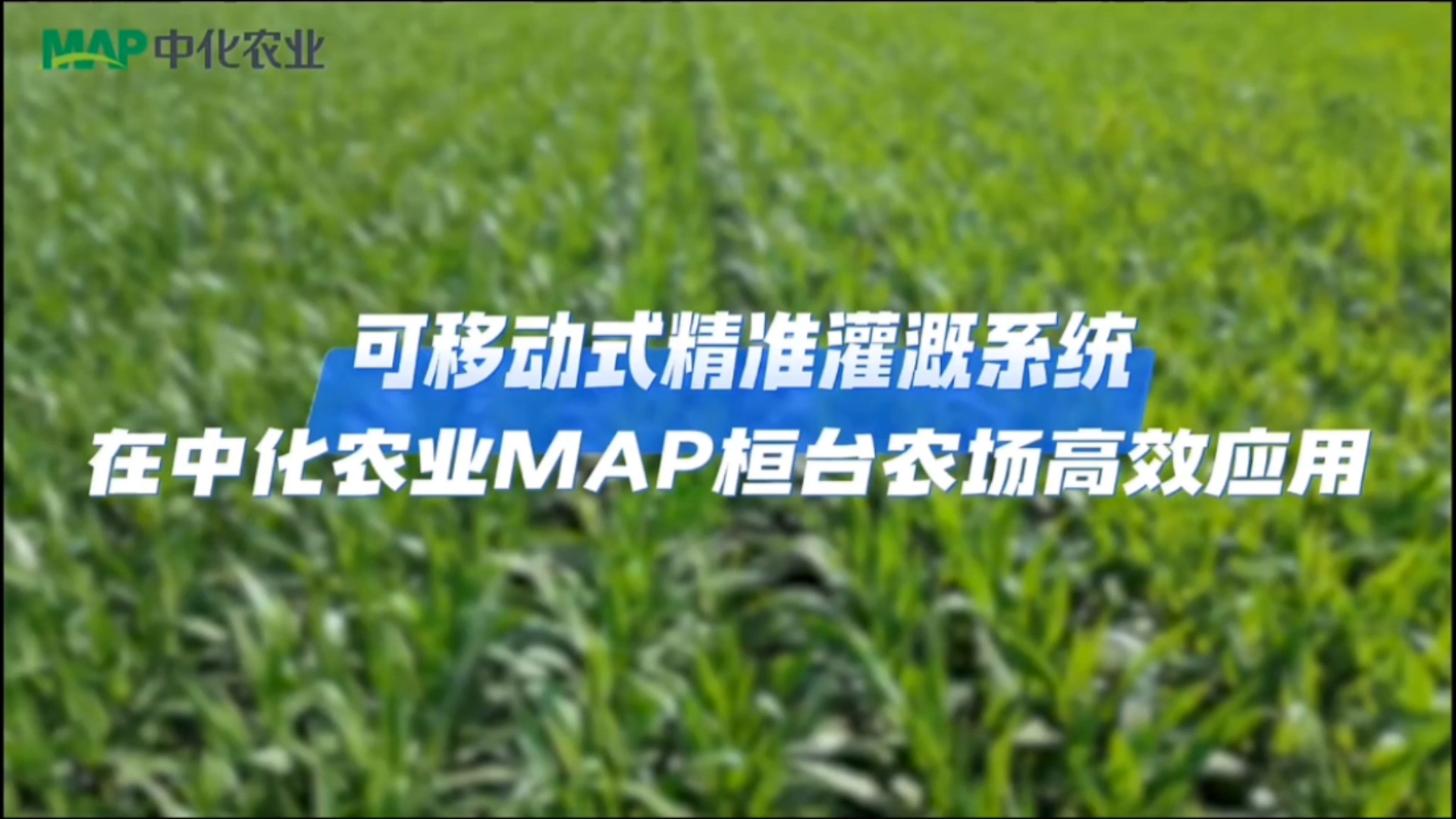 中化农业MAP桓台农场应用可移动式精准灌溉系统,实现水肥一体化...