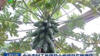中央农村工作小组副组长袁纯清等领导视察星源_clip