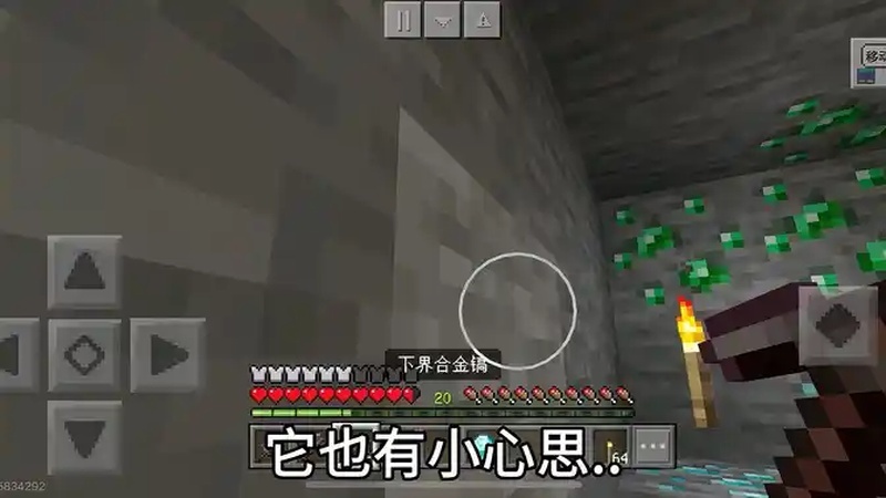 我的世界:小狗有自己的心思