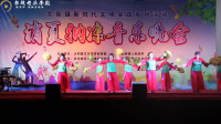 太和县大新镇新时代文明实践所系列活动消夏纳凉 音乐晚会.太和县...