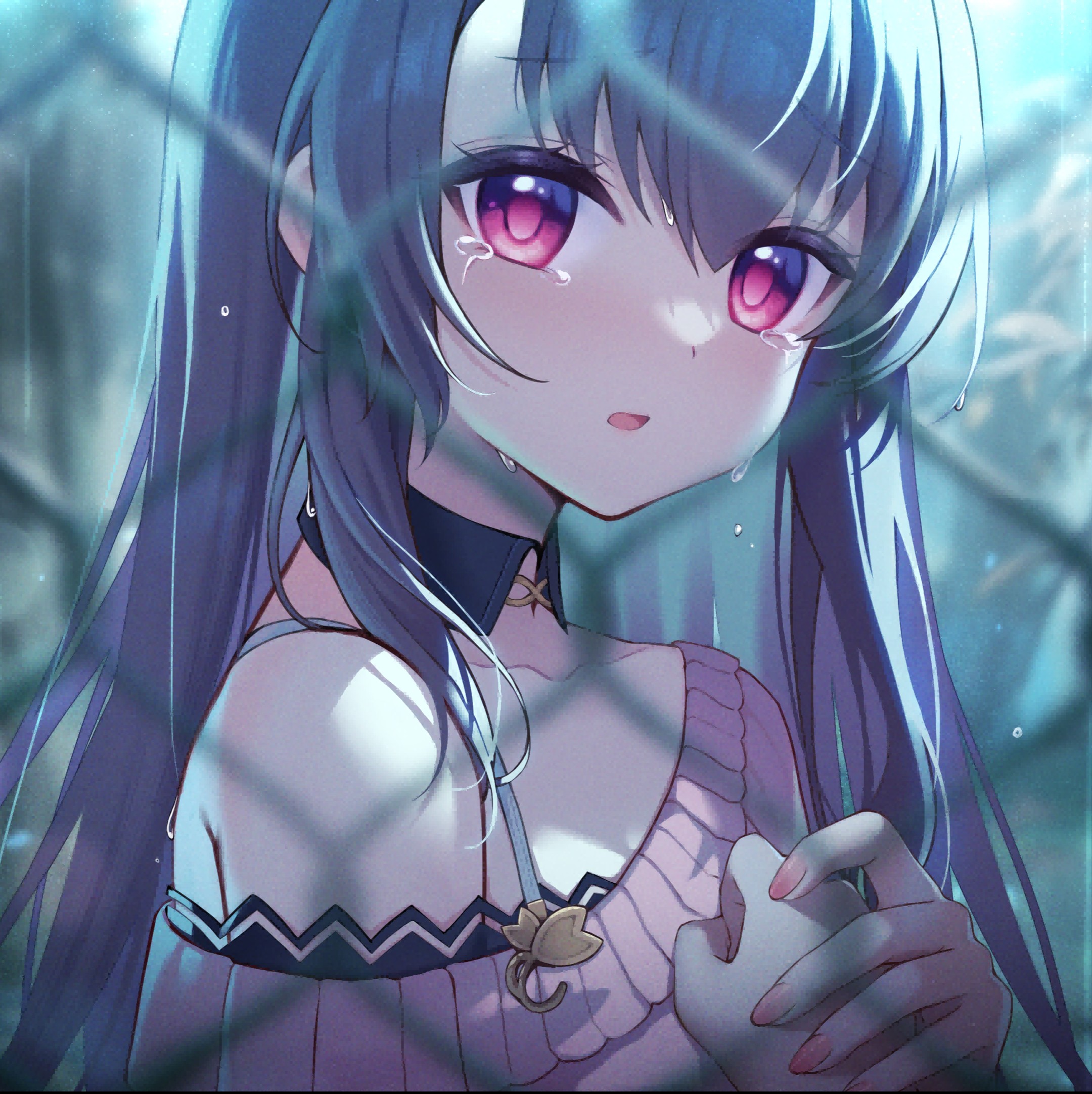 卡多的游戏世界 